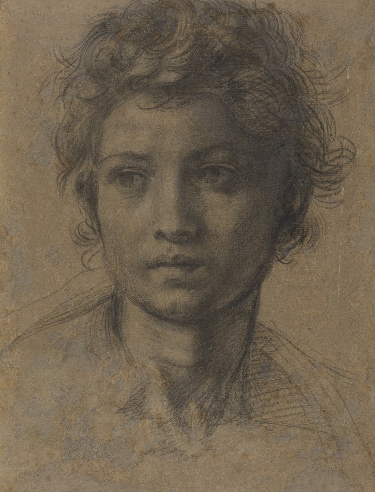 Andrea Del Sarto prised at the Frick but his masterpiece is yet to be ...