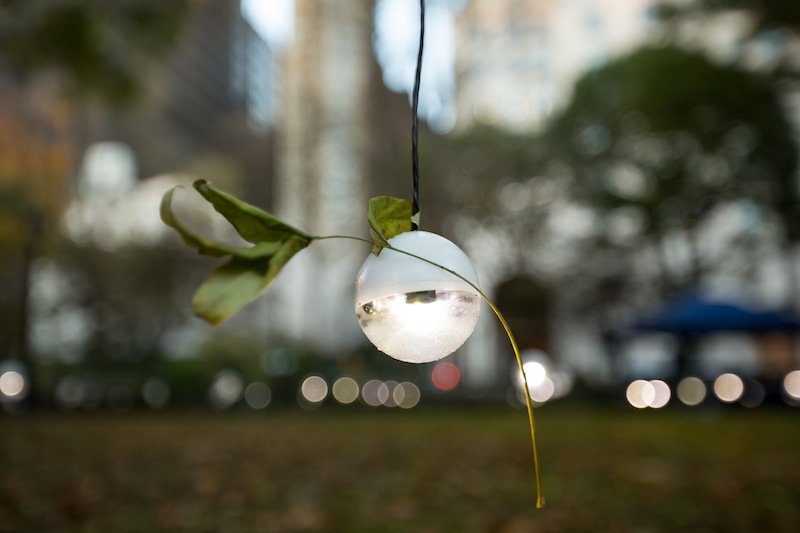 Erwin Redl and the Bill Gates version of John Cage | Conceptual Fine Arts