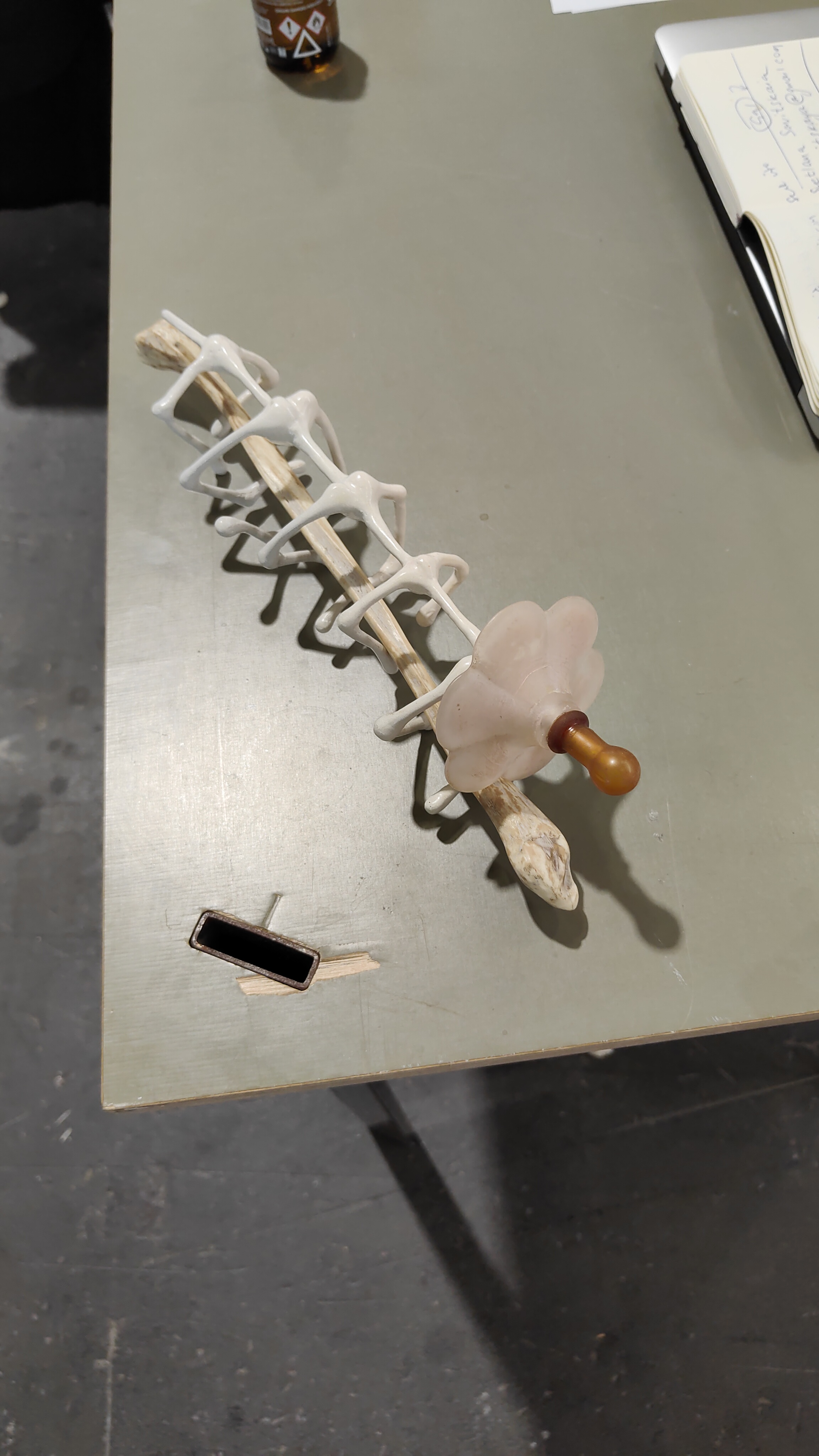 Alexandra Metcalf and the totalities of current life | CFArts